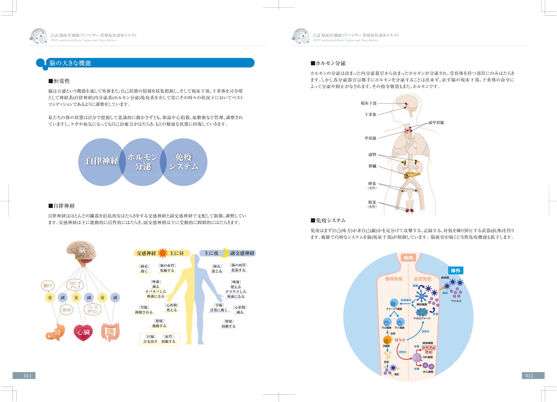 お問い合わせ・資料請求 | 一般財団法人 内面美容医学財団（IBMF）