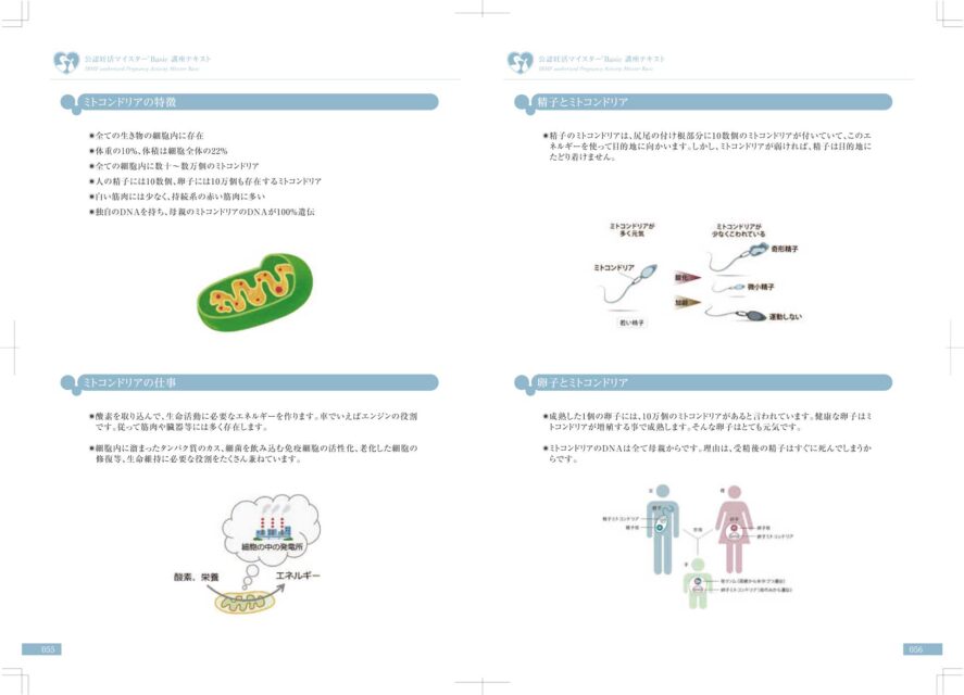 公認ファスティングカウンセラー® | 一般財団法人 内面美容医学財団（IBMF）